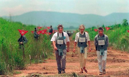 When did Princess Diana go to africa? | Charity Work Details
