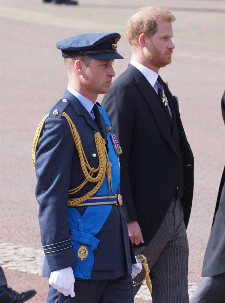 Harry and William at the Duke of Westminster's Wedding