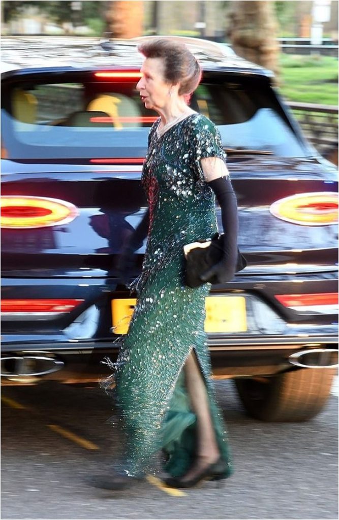 Princess Anne in International Financing Review Awards: This was their look