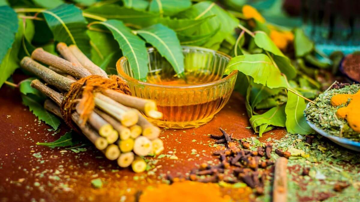 Top 22 Benefits of Neem Oil for Healthy