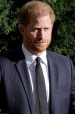 PHOTO of Prince Harry and Rose Hanbury at an official dinner