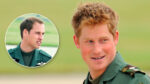 Was Prince Harry a pilot?: Controversy over its 'LLA' award