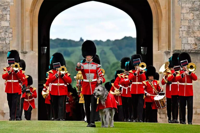King Charles presents new colors to Irish Guards at Windsor