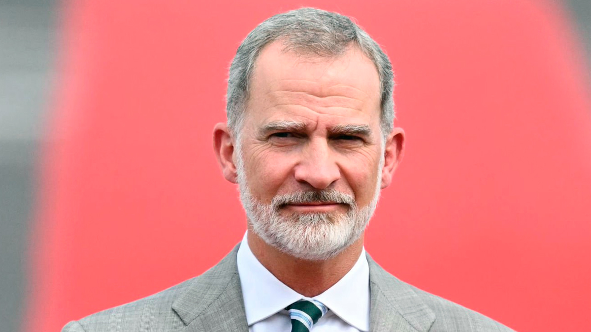 Spain Celebrates 10 Years of King Felipe VI's Reign