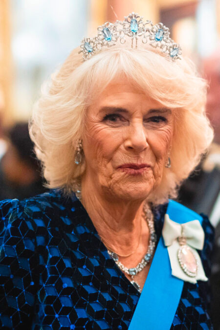 Queen Camilla in a Blue Dress by Fiona Clare and Iconic Tiara