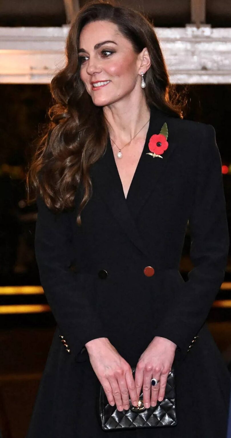 ALL DETAILS: Kate Middleton's Business Meeting at Windsor Castle