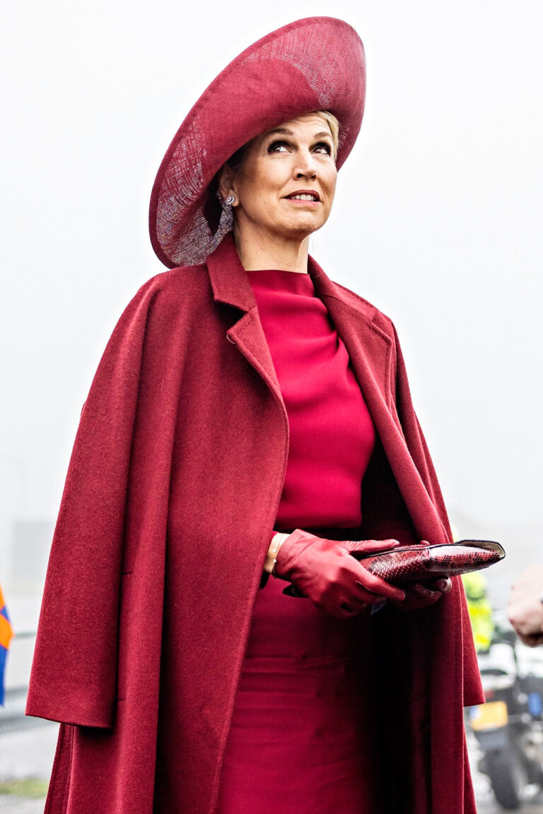 Queen Maxima's Ensemble: Max Mara Coat & Natan Outfit
