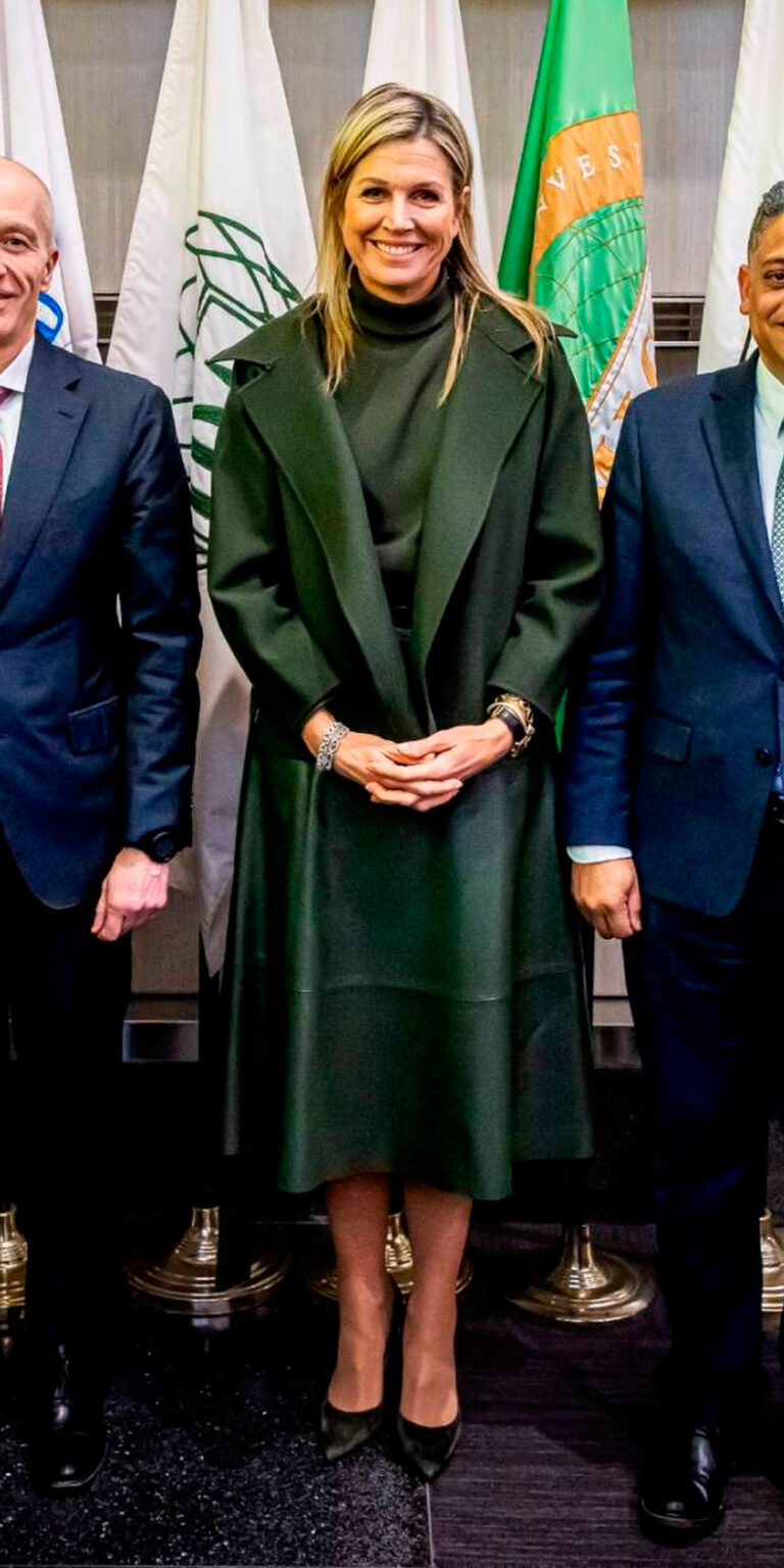Queen Máxima's Style in Washington: Natan Green Outfit