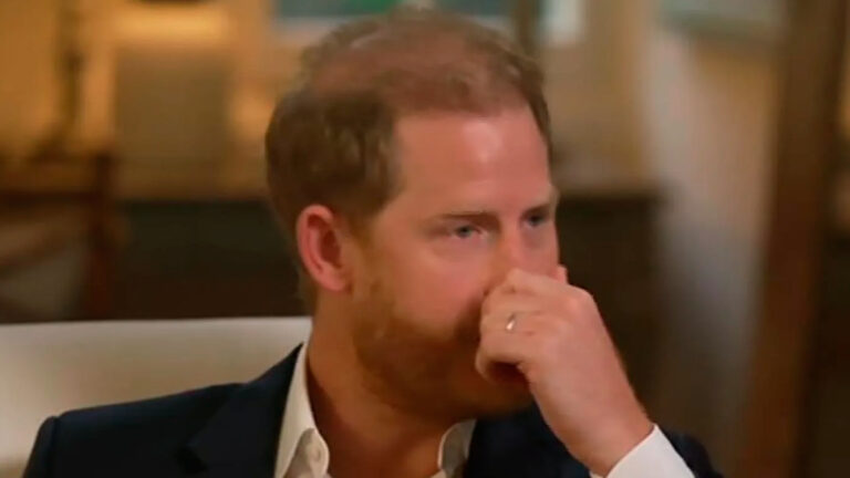 Prince Harry's BBC Interview - What Did He Say?
