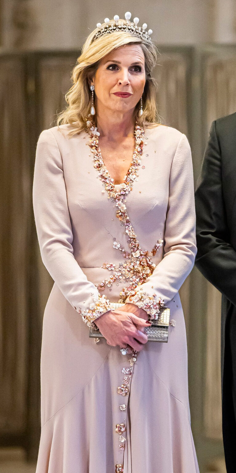 Queen Maxima's Style at the Gala Dinner for the Diplomatic Corps
